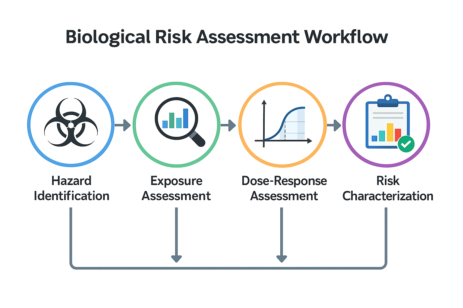 Biological Risk Assessment in Biostatistics: A Complete Guide